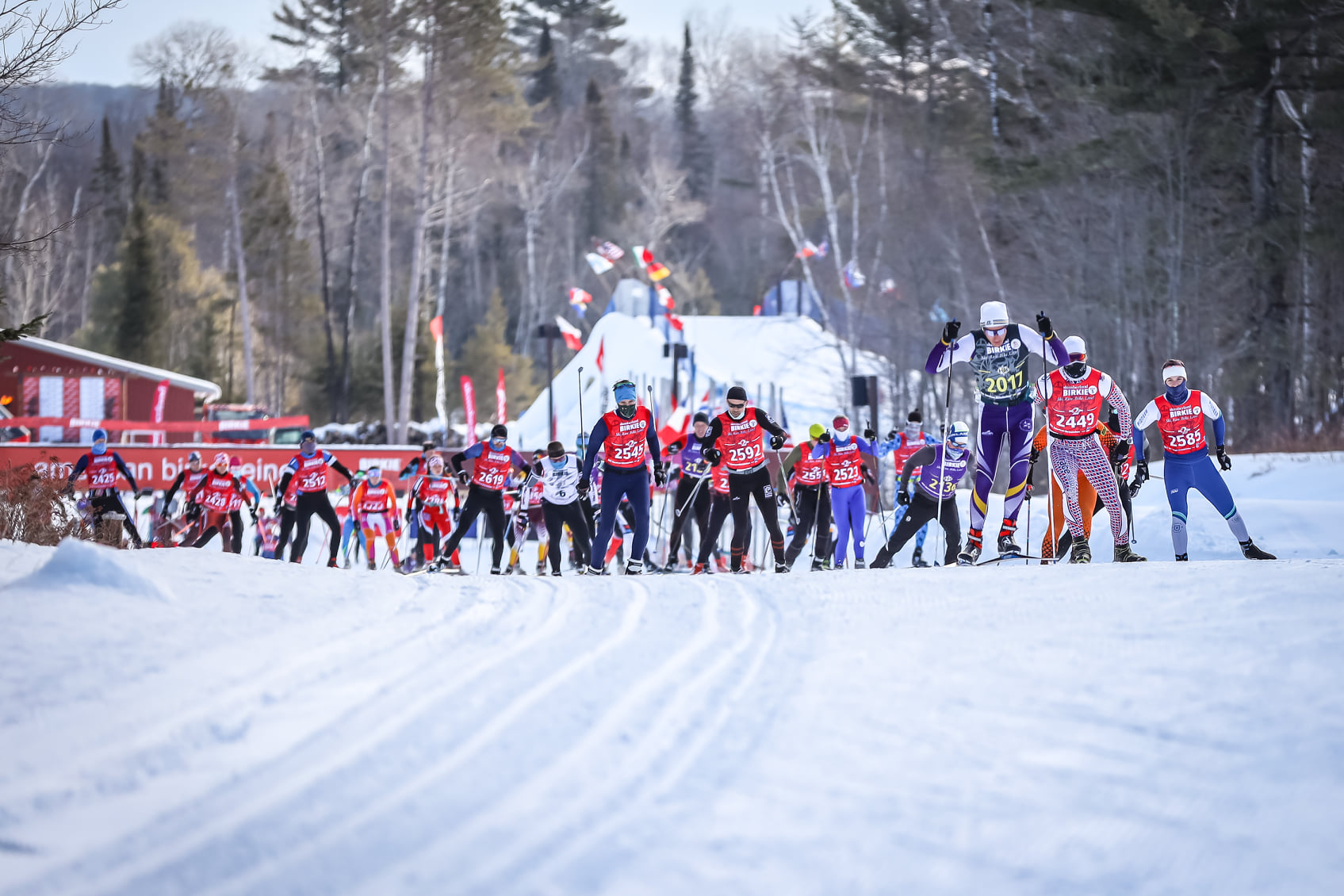 Gallery: American Birkebeiner 2021 - Worldloppet