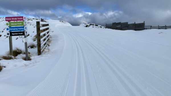 2022 – The year to finally ski the Merino Muster - Worldloppet