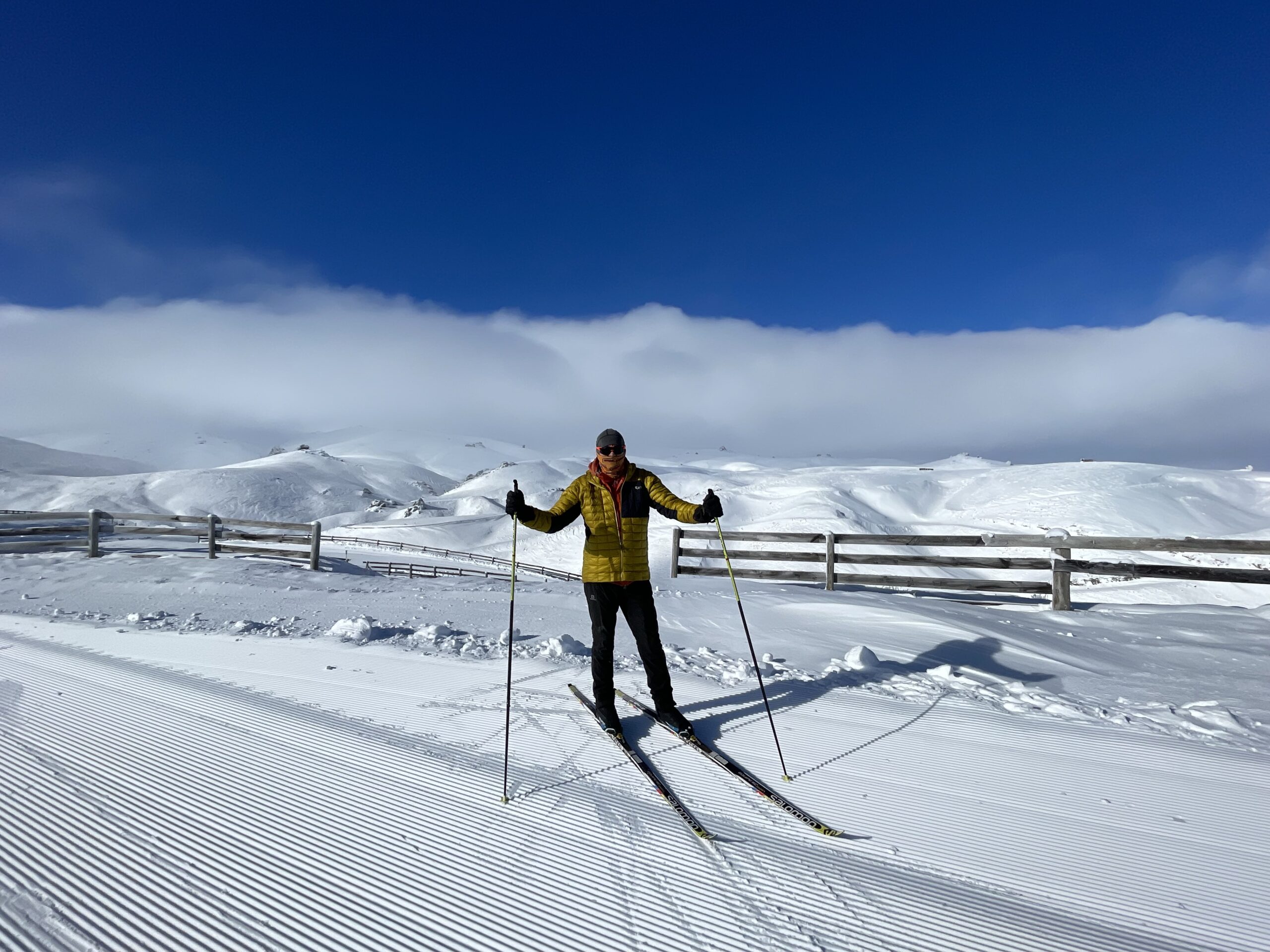 News from New Zealand: Get Ready for the Merino Muster at Snow Farm ...